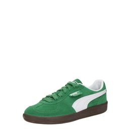 Puma Sneaker 'Palermo' Herren Größe 43 grün / weiß