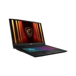 MSI Katana 17 HX B14WGK-065, Gaming-Notebook schwarz, Intel Core i7-14650HX, NVIDIA GeForce RTX 5070, 16 GB DDR5, 1 TB (1 TB SSD), Windows 11 Home