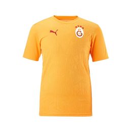 Puma Trikot 'Galatasaray Istanbul' Herren Gr&ouml;&szlig;e L safran / rot / wei&szlig;