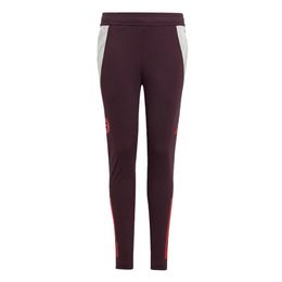 adidas Performance Workout Pants 'FC Bayern Tiro 24' girl Red size 140