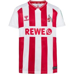 Hummel Performance Shirt '1. FC Köln 25-26 HOME' boy Red size 116