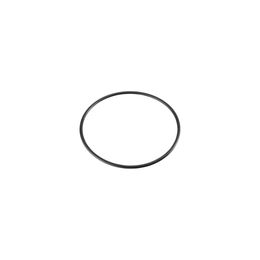 Oventrop O-Ring f&uuml;r Filtertasse, f&uuml;r Aquanova Magnum (6126000)