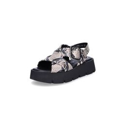 Gabor Fashion Sandale in Python | Gr.: 40,5