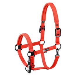 ESKADRON Dynamic Halfter Sparkle Double Pin rot Shetty