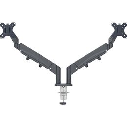 Leitz Ergo Platzsparender Dual Monitorarm, Tragfähigkeit 9 kg, dunkelgrau