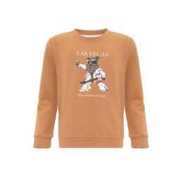 Williot Sweatshirt Jungen Gr&ouml;&szlig;e 164 braun
