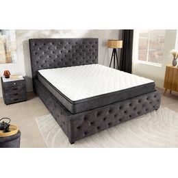 Riess Ambiente Boxbett PARIS 160x200cm grau Samt mit Stauraum inkl. Matratze und Topper Riess-Ambiente Chesterfield Landhaus Modern Skandinavisch