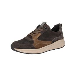 Sioux Sneaker 'Tasulio' Herren Gr&ouml;&szlig;e 48 braun / dunkelgrau