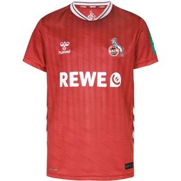 Hummel Performance Shirt '1. FC Köln 25-26 AWAY' boy Red size 140