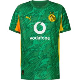 Puma Jersey 'Borussia Dortmund 25/26' male Green size S