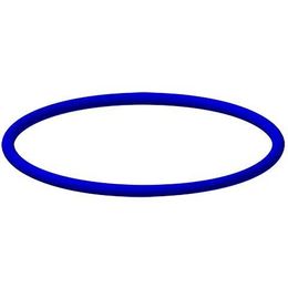 KWC Aquarotter O-Ring, F3, 30x1,5 mm, blau, 2030042962, 2030042962 2030042962