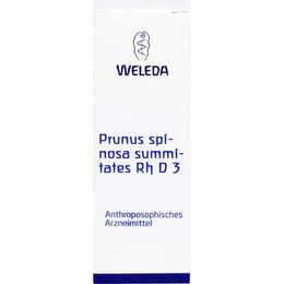 Weleda Prunus Spinosa Summitates Rh D 3 Dilution 20 ml