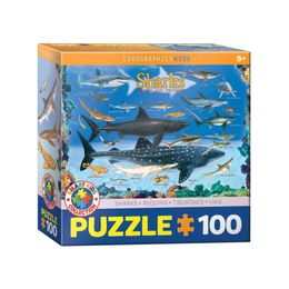Eurographics Haie (Puzzle) | Gr.: onesize