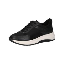 Caprice Sneaker in BLACK COMB | Gr.: 39
