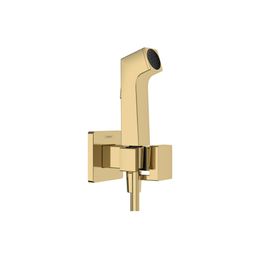 Hansgrohe Handbrause Bidette E f.Kaltwasser m. Schlauch 1250mm und Porter PGO (29231990)