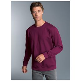 Sweatshirt TRIGEMA "TRIGEMA Sweatshirt", Herren, Gr. S, rot (sangria), 70% Baumwolle, 30% Polyester, Basic, Sweatshirts Sweatshirt