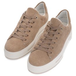 Ara Damen Plateausneaker "CANBERRA", Gr. 7,5, beige, Veloursleder, unifarben, Schuhe, Freizeitschuh, Plateausneaker in bequemer Schuhweite G (= weit)