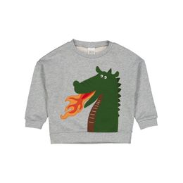 Fred's World by GREEN COTTON Fred's World By Green Cotton Sweatshirt Jungen Gr&ouml;&szlig;e 104 braun / graumeliert / dunkelgr&uuml;n / orange