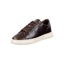 Gant Footwear Sneaker in Dunkelbraun | Gr.: 41