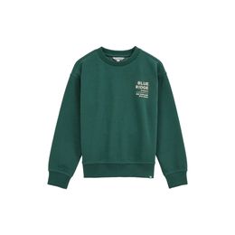 WE Fashion Sweatshirt Jungen Gr&ouml;&szlig;e 170/176 ecru / dunkelgr&uuml;n