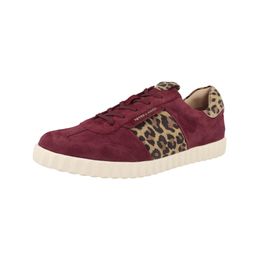 Peter Kaiser Sneaker ' 9-73340-45' Damen Gr&ouml;&szlig;e 41 beige / braun / bordeaux