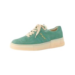 Sneaker Paul Green "Paul Green Sneaker Veloursleder", Damen, Gr. 37,5, gr&uuml;n (hellgr&uuml;n), Veloursleder, Schuhe Sneaker
