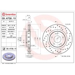 Brembo Bremsscheibe 09.A738.1X vorne rechts links Gelocht 294mm f&uuml;r MITSUBISHI PEUGEOT CITRO&Euml;N MR307376 4615A189 4249F3