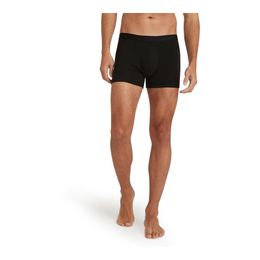 Falke Boxer Daily ClimaWool in Black | Gr.: XL