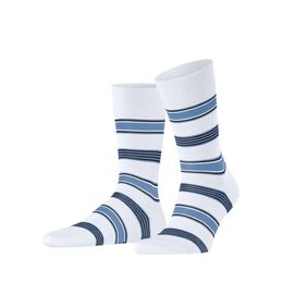 Falke Socken Marina Stripe in White | Gr.: 45/46