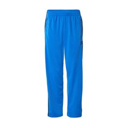 adidas originals Pants 'Adicolor Classics Firebird' male Blue size XXL