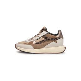 Floris van Bommel Sneaker 'Suvi 03' Damen Gr&ouml;&szlig;e 36 creme / cappuccino / taupe / schwarz