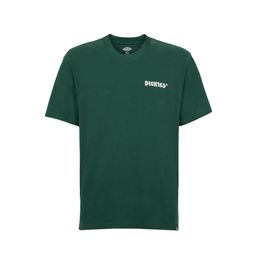 Dickies T-Shirt 'GORDONSVILLE' Herren Gr&ouml;&szlig;e XL gr&uuml;n / wei&szlig;