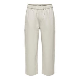 Only & Sons Only & Sons Pants 'ONSJakes' male size 35/36 Silver grey