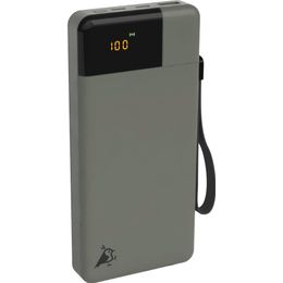 Aqiila Powerbird Powerbank 20 W 20000 mAh moosgr&uuml;n - Powerbanks