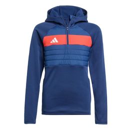 adidas Performance Athletic Sweatshirt 'Tiro 25 Essentials' boy Blue size 176
