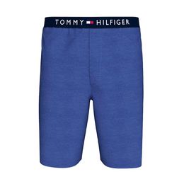 Tommy Hilfiger Pajama Pants male Blue size M