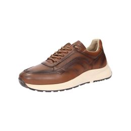 Sioux Sneaker Kavikano-700 in cognac | Gr.: 44