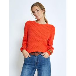 Sel by peppercorn Peppercorn Pullover in GRENADINE | Gr.: L