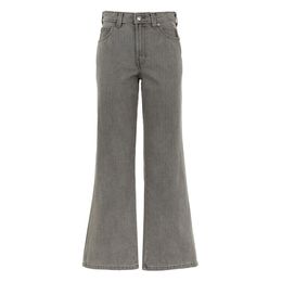 Dickies Jeans 'Bridger' female Grey size 29