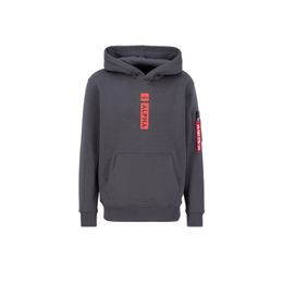 Hoodie Alpha Industries "Alpha Puff Print Hoodie", Herren, Gr. M, grau (vintage grau), Obermaterial: 80% Baumwolle, 20% Polyester, regular fit, Sweatshirts Hoodie