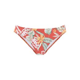 Sunseeker Bikini Bottoms female Orange size 32