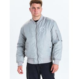 Dxnmxrk Winter Jacket 'DXFrost' male Grey size XL
