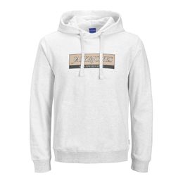 Jack & Jones Jack & Jones Sweatshirt 'JORINWOOD' Herren Gr&ouml;&szlig;e L hellbraun / grau / wei&szlig;