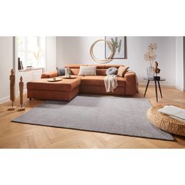 Teppich Hanse Home "Supersoft" Gr. 3, grau (hellgrau), B:120cm H:10mm L:170cm, Polyester, Teppiche, Teppich, Kurzflor, L&auml;ufer Modern, Einfarbig, Wohnzimmer, Schlafzimmer