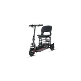 ENEWAY Muvy 3-Rad EMobil 6 km/h Elektromobil mit Lithium-Akku