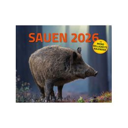 Heel Verlag Kalender - Sauen Kalender 2026 Jagd-Kalender im XXL-Format | Gr.: onesize