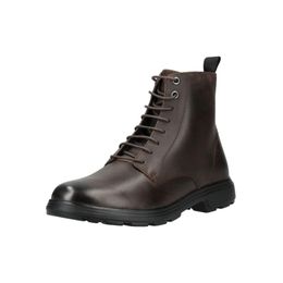 Geox Stiefelette in Coffee | Gr.: 41
