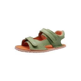 froddo Sandalen in Oliv | Gr.: 30