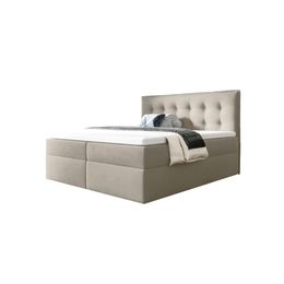 H&ouml;ffner Boxbett mit Bettkasten Focus &brvbar; beige &brvbar; Ma&szlig;e (cm): B: 120 H: 110 &raquo; H&ouml;ffner