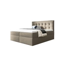 H&ouml;ffner Boxbett mit Bettkasten Focus beige Ma&szlig;e (cm): B: 200 H: 110 &raquo; H&ouml;ffner